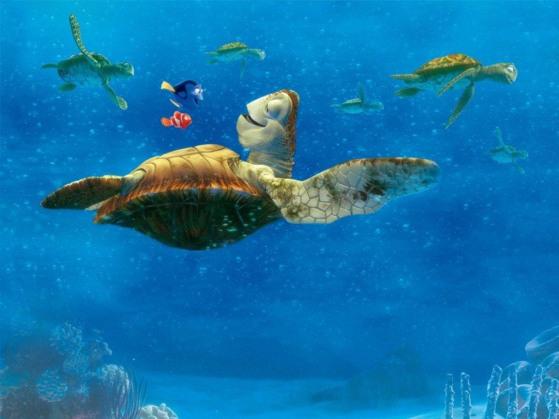 Viajes nemo foto - Blackdragontours.com